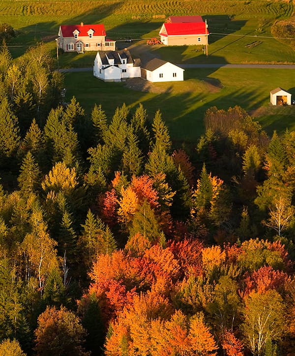 Immigration Can Reverse Rural Population Decline